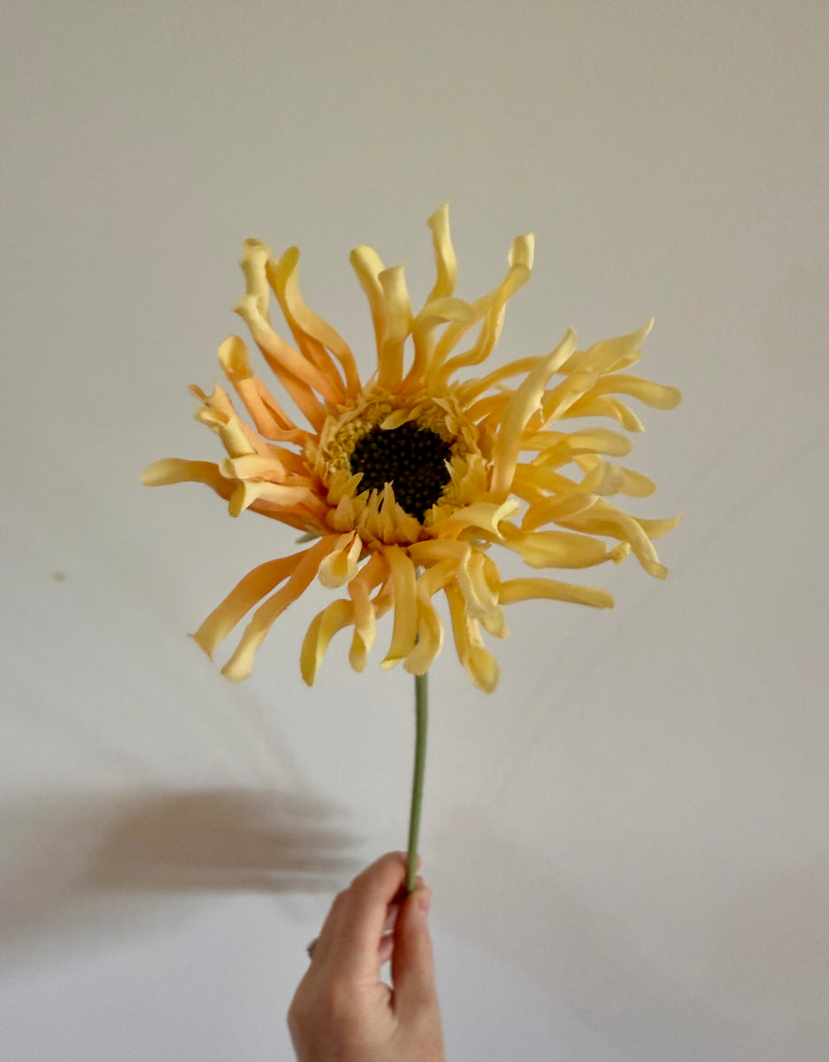 Yellow Spider Gerbera (5 stems) – Studio Alyssum
