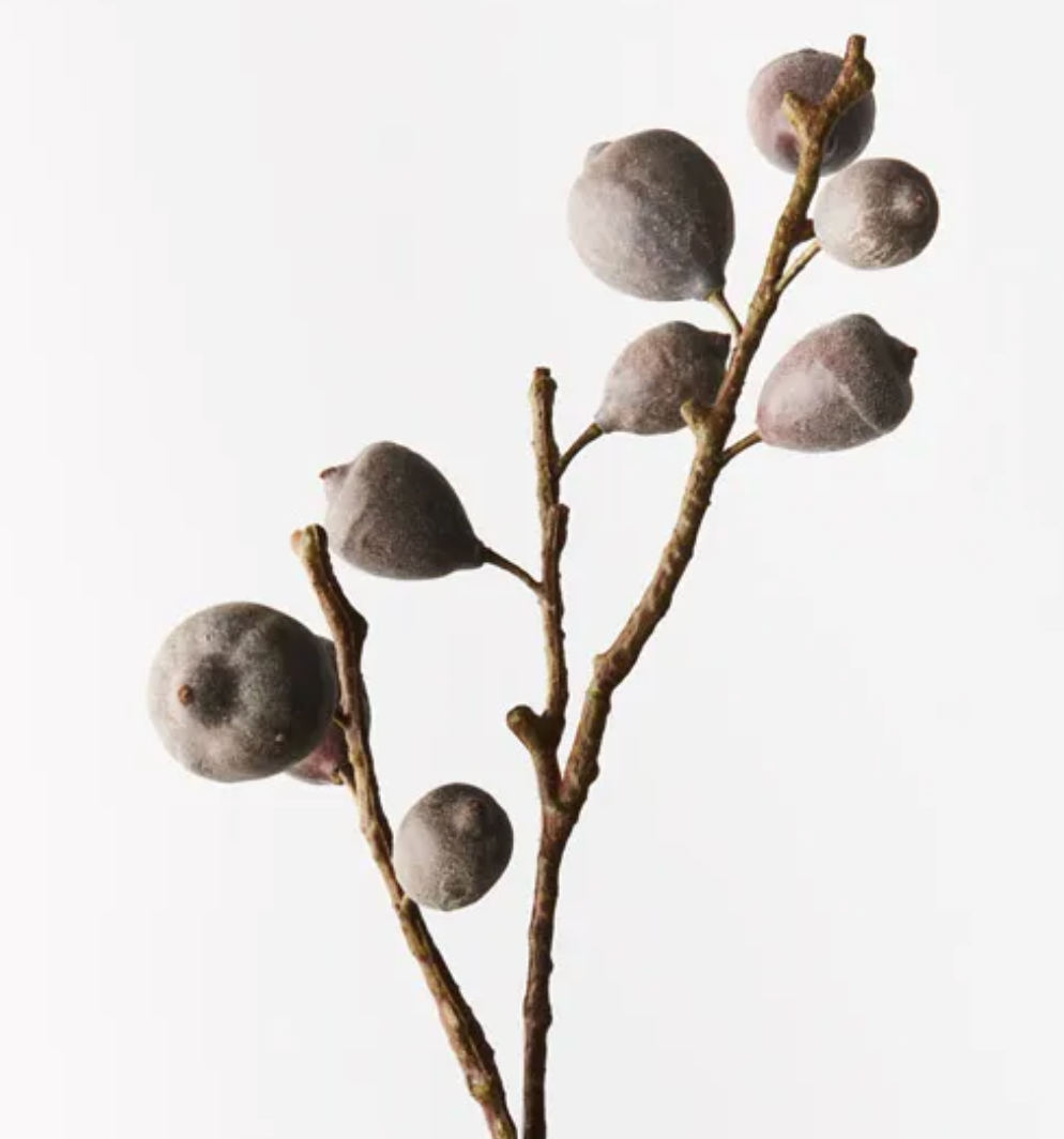 Fig Spray – Studio Alyssum