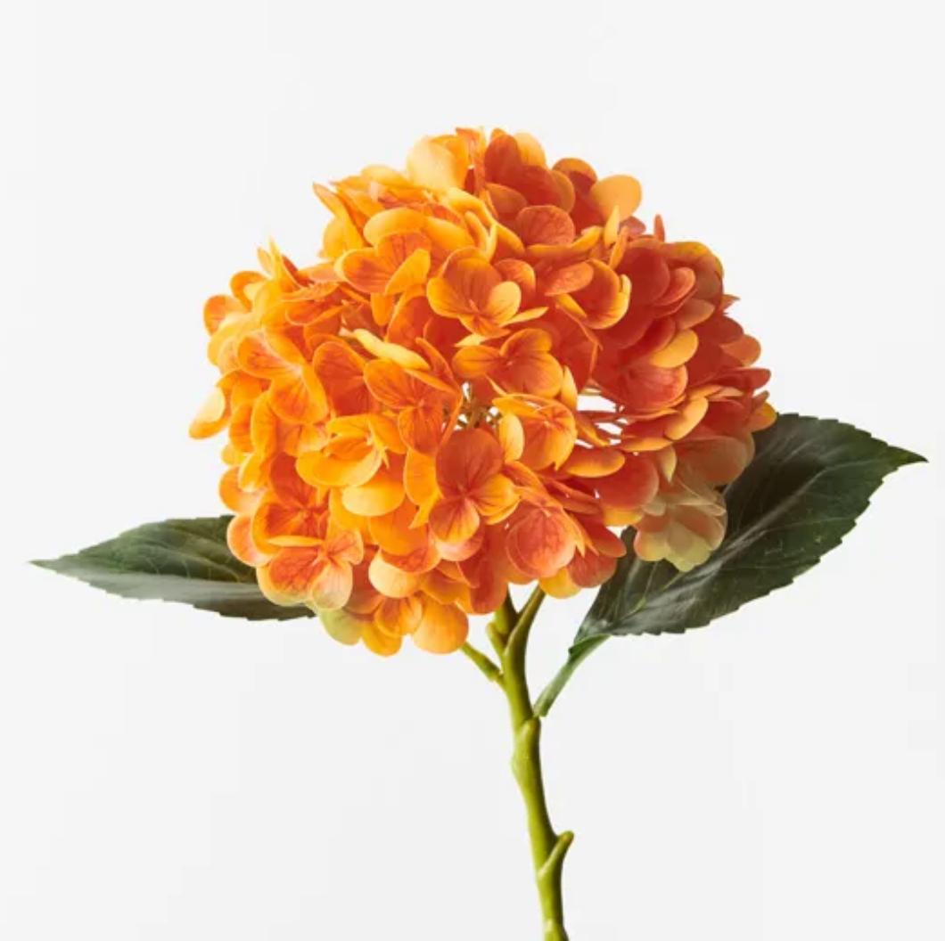 Orange Real touch Hydrangea – Studio Alyssum
