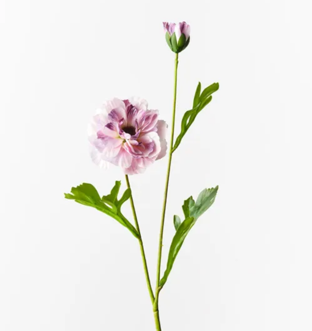 Lavender Ranunculus Spray – Studio Alyssum