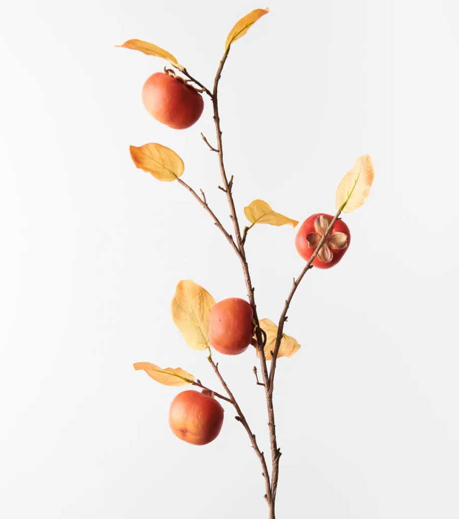 Persimmon Spray – Studio Alyssum